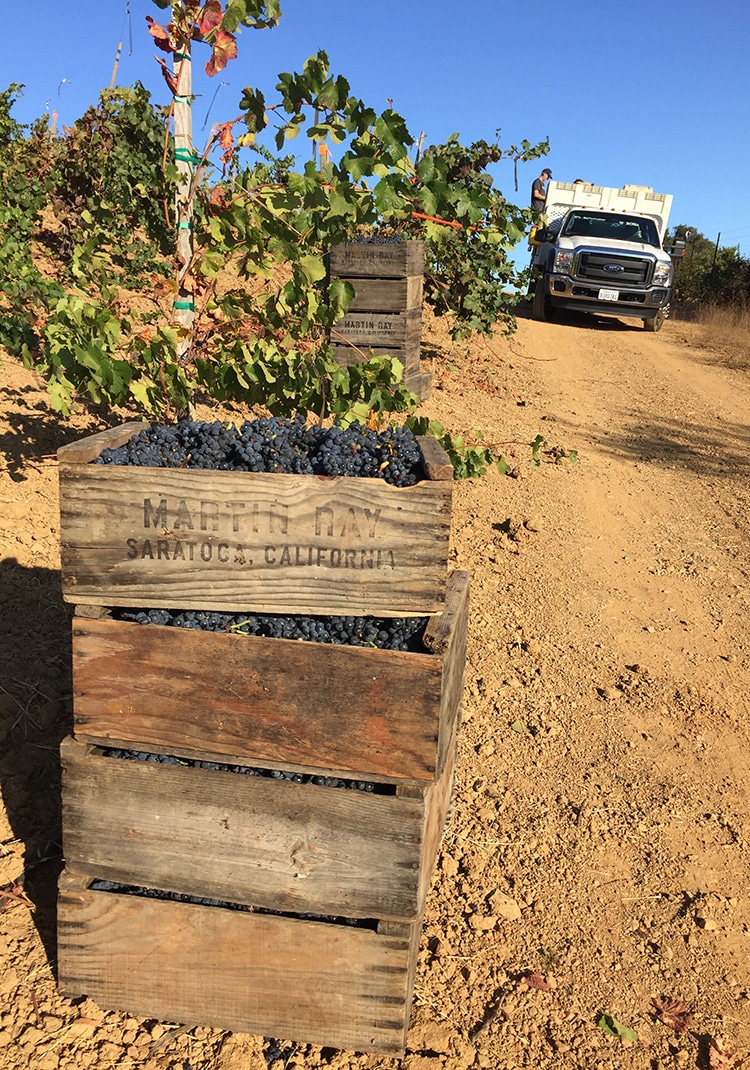 Arnot-Roberts - Ungrafted Selections